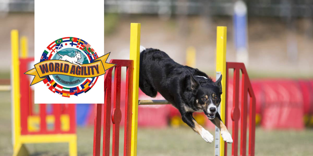World Agility Open 2024 15/05 - 19/05 – Back on Track Germany
